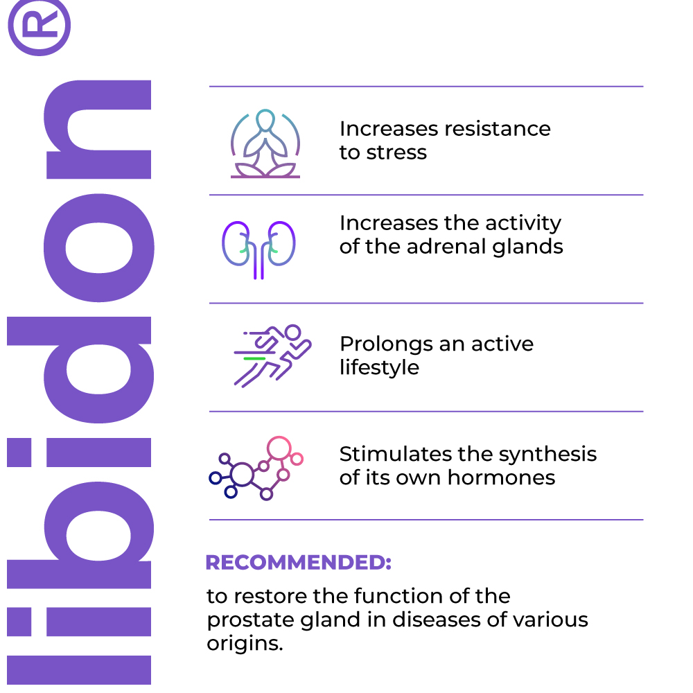 Libidon 20 - ghiandola prostatica - Peptidi e bioregolatori Italia ...